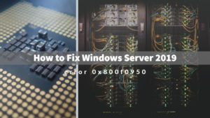 How to Fix Windows Server 2019 error 0x800f0950 - Install .NET 3.5