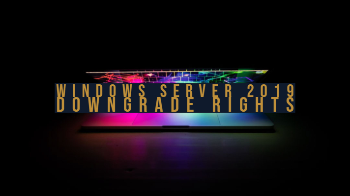 What are the Windows Server 2019 downgrade rights for Licensing