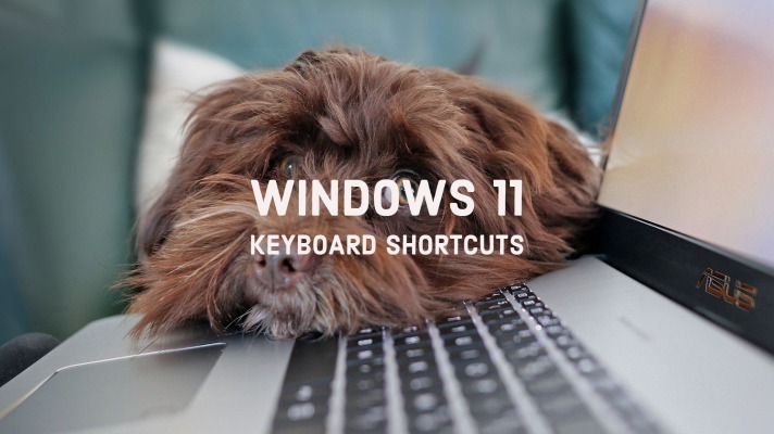 Guide to a List of Windows 11 keyboard Shortcuts – Top Picks